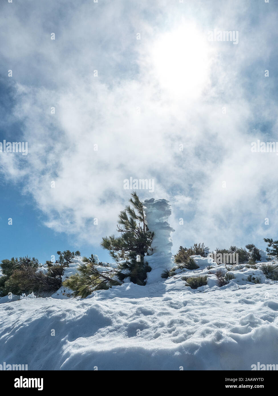 The trees in the frost hi-res stock photography and images - Alamy
