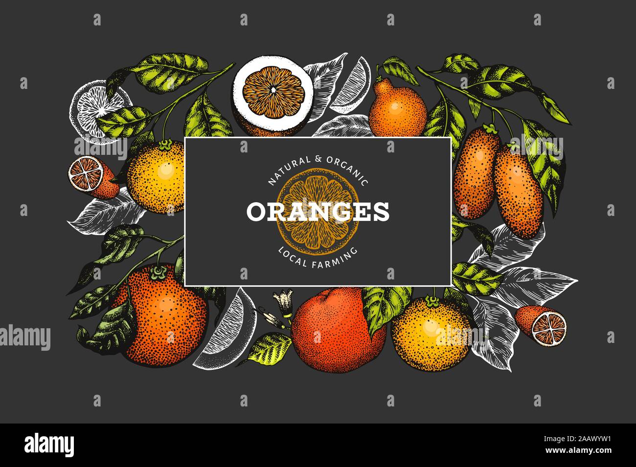 Citrus design template. Hand drawn vector color fruit illustration on ...