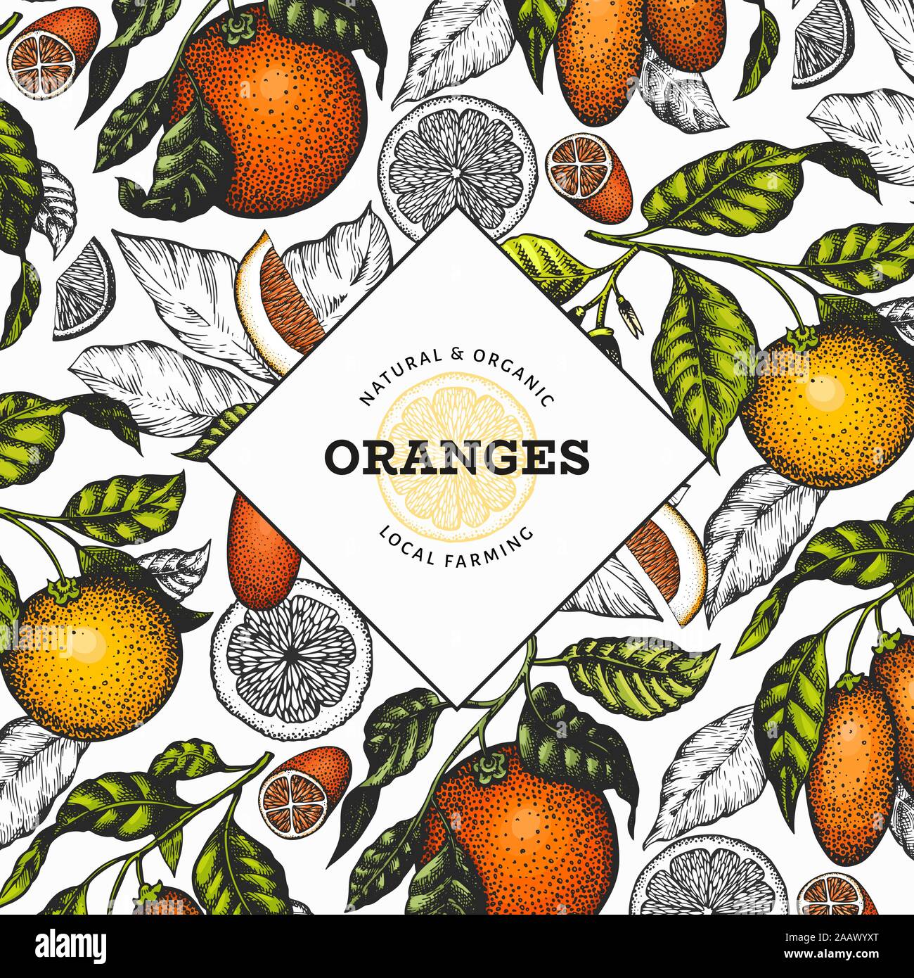 Citrus design template. Hand drawn vector color fruit illustration ...