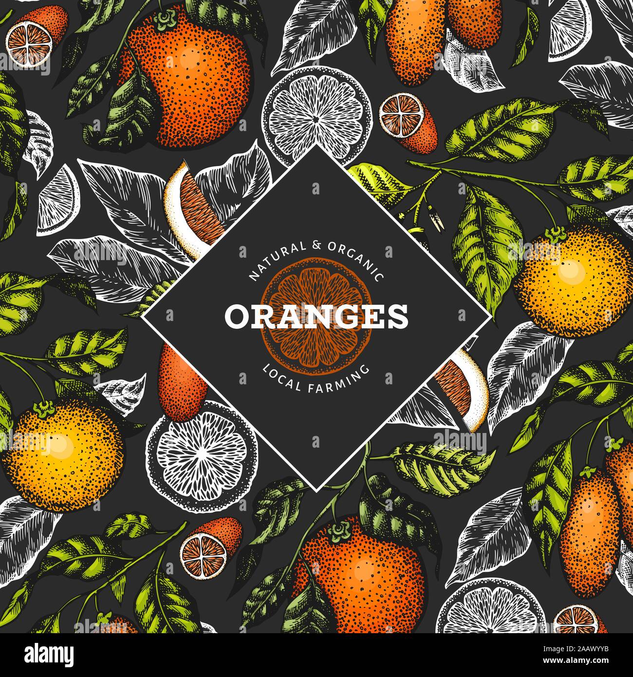 Citrus design template. Hand drawn vector color fruit illustration on ...