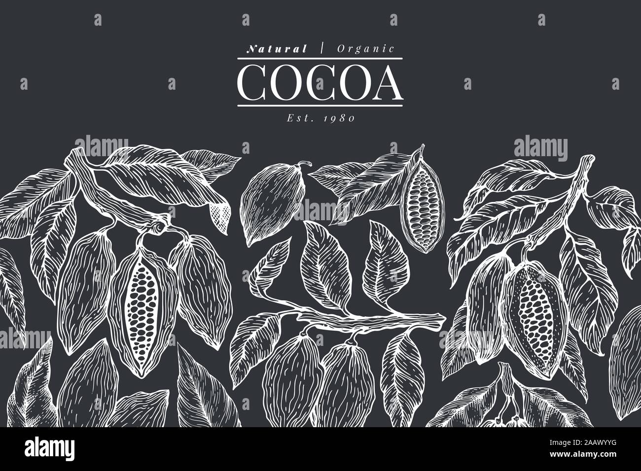 Cocoa design template. Chocolate cocoa beans background. Vector hand ...