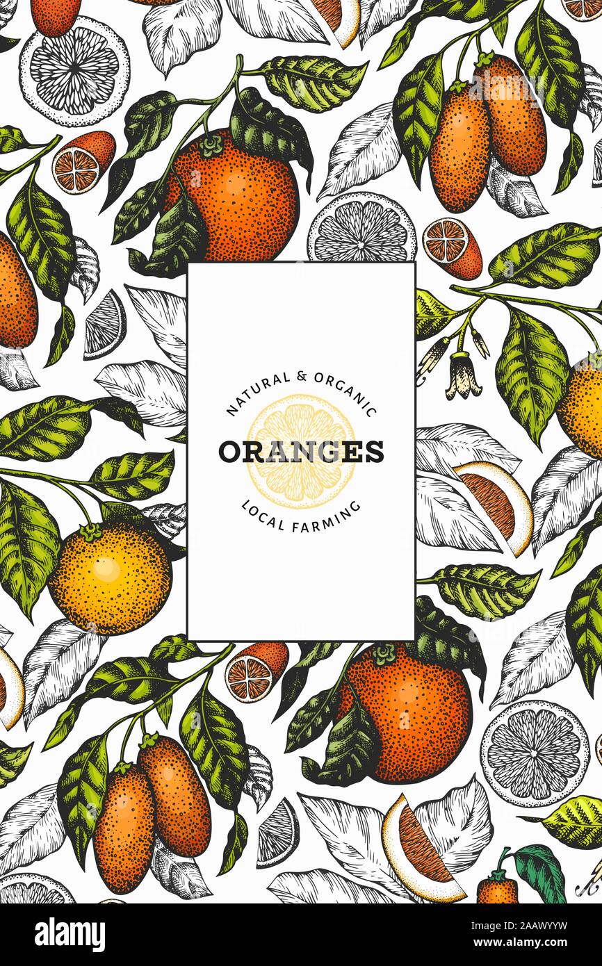 Citrus design template. Hand drawn vector color fruit illustration ...