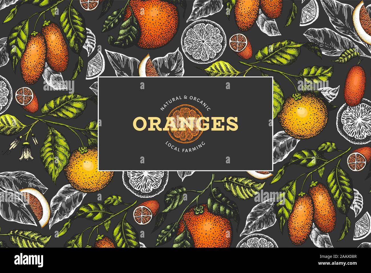 Citrus design template. Hand drawn vector color fruit illustration on ...