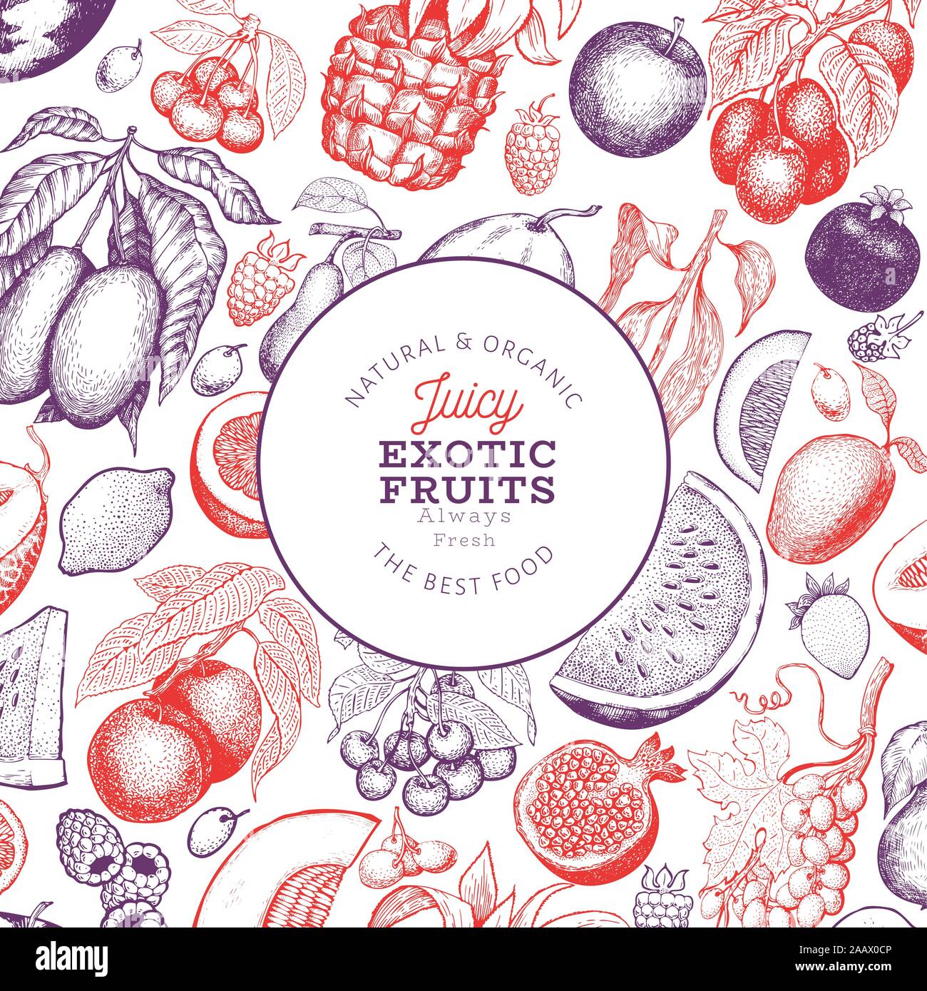 Fruits and berries design template. Hand drawn vector tropic fruits ...