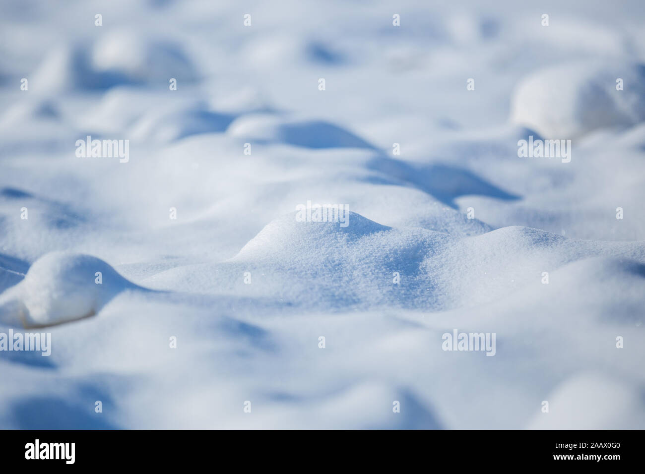 Winter Scenery of Snow Field at Daytime in Famous Rime Island in a ...