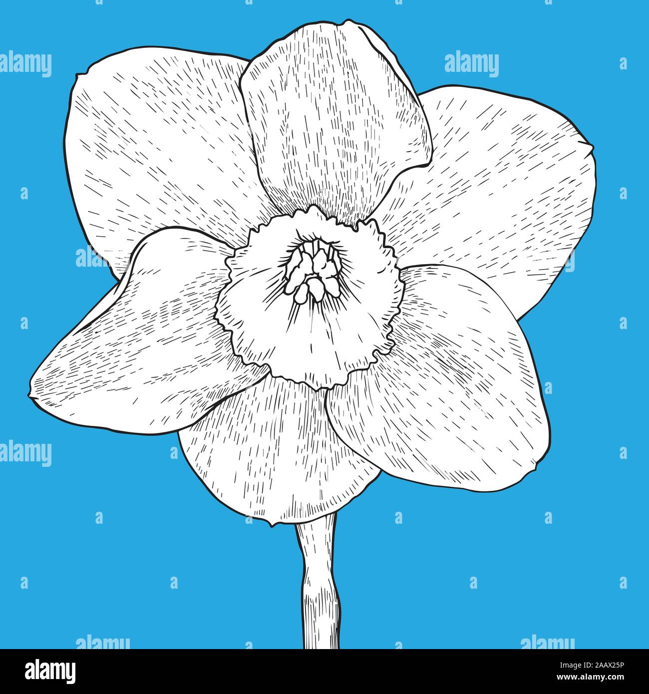 Drawing Flowers 3d Drawing