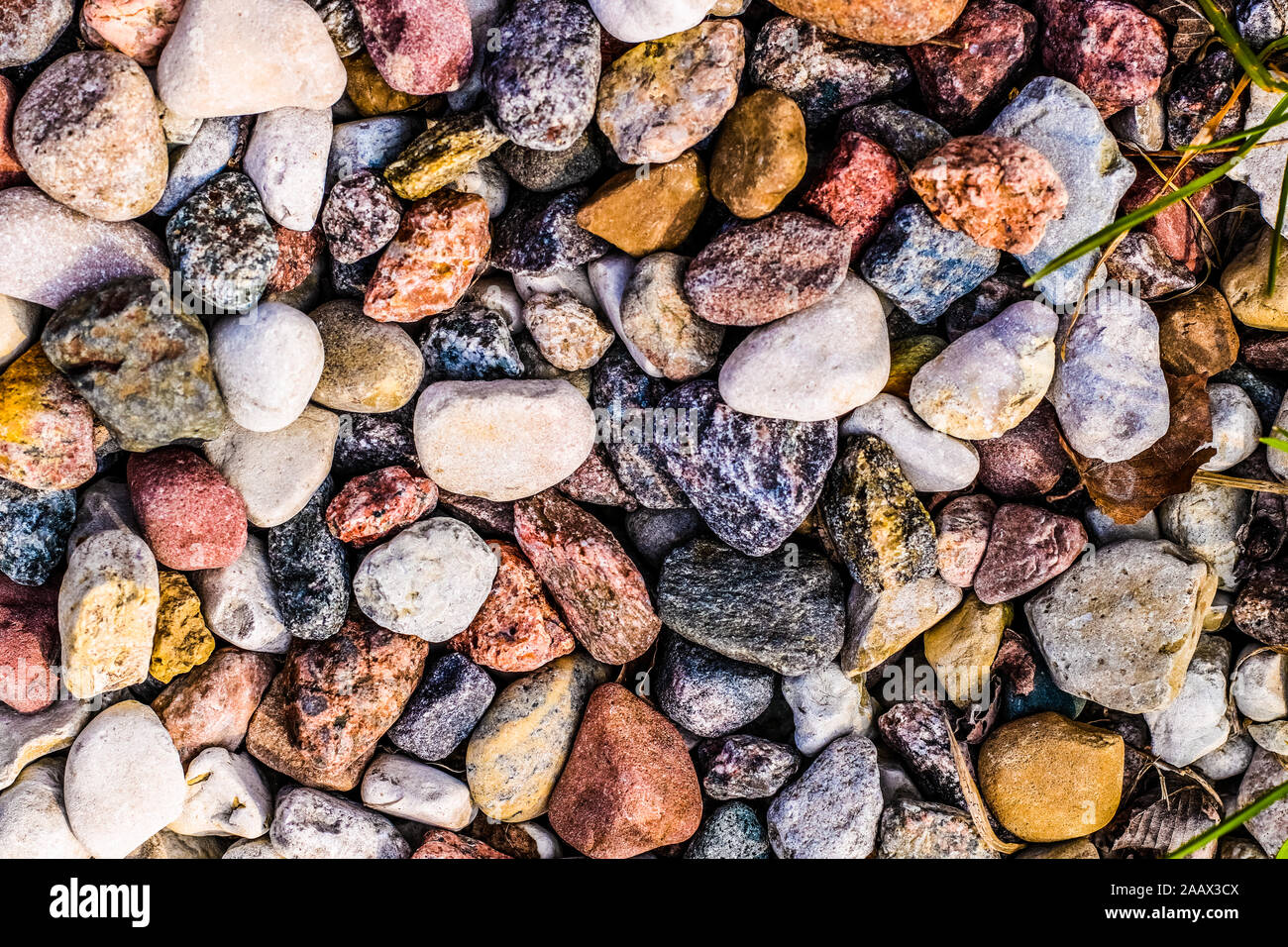 Landscape architecture, interior design and nature elements concept ...