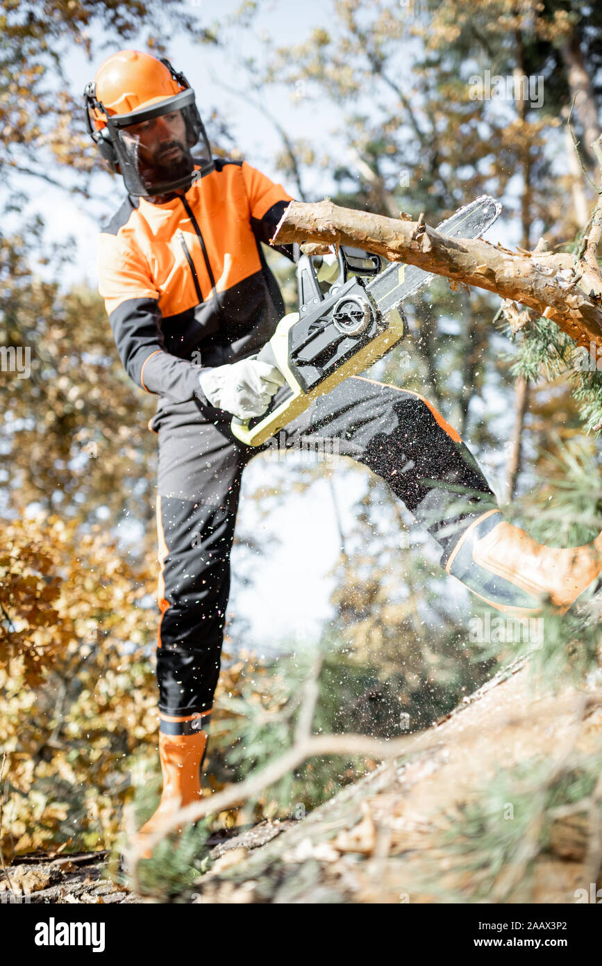 Lumberman in protective workwear sawing with a chainsaw branches from a ...