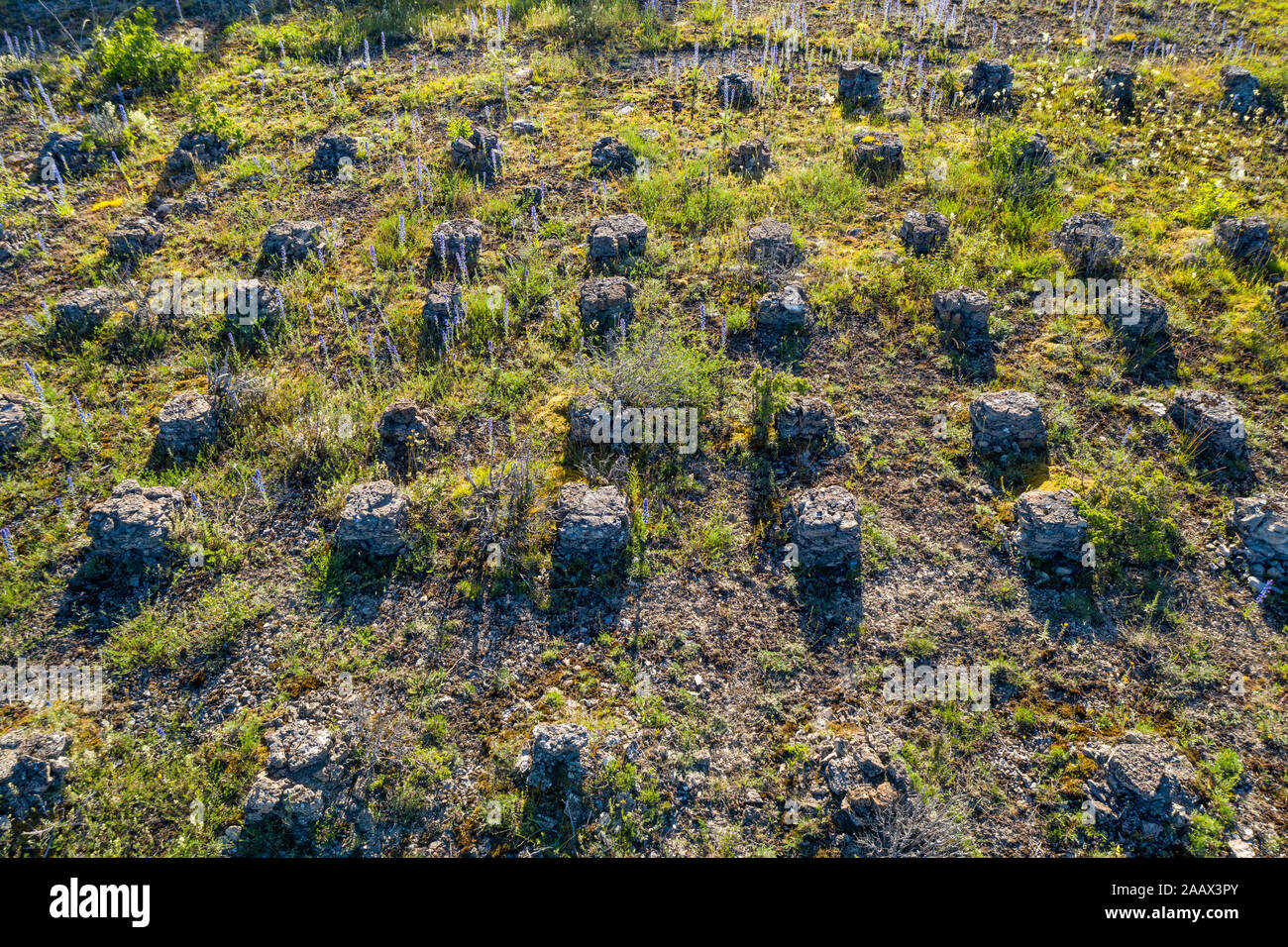 Pakri High Resolution Stock Photography and Images - Alamy