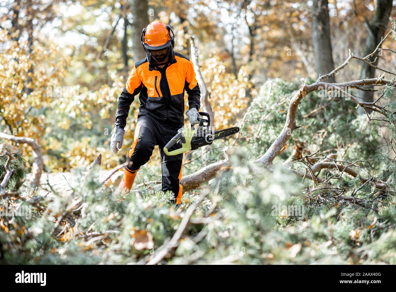 Lumberman in protective workwear sawing branches with a chainsaw from a ...