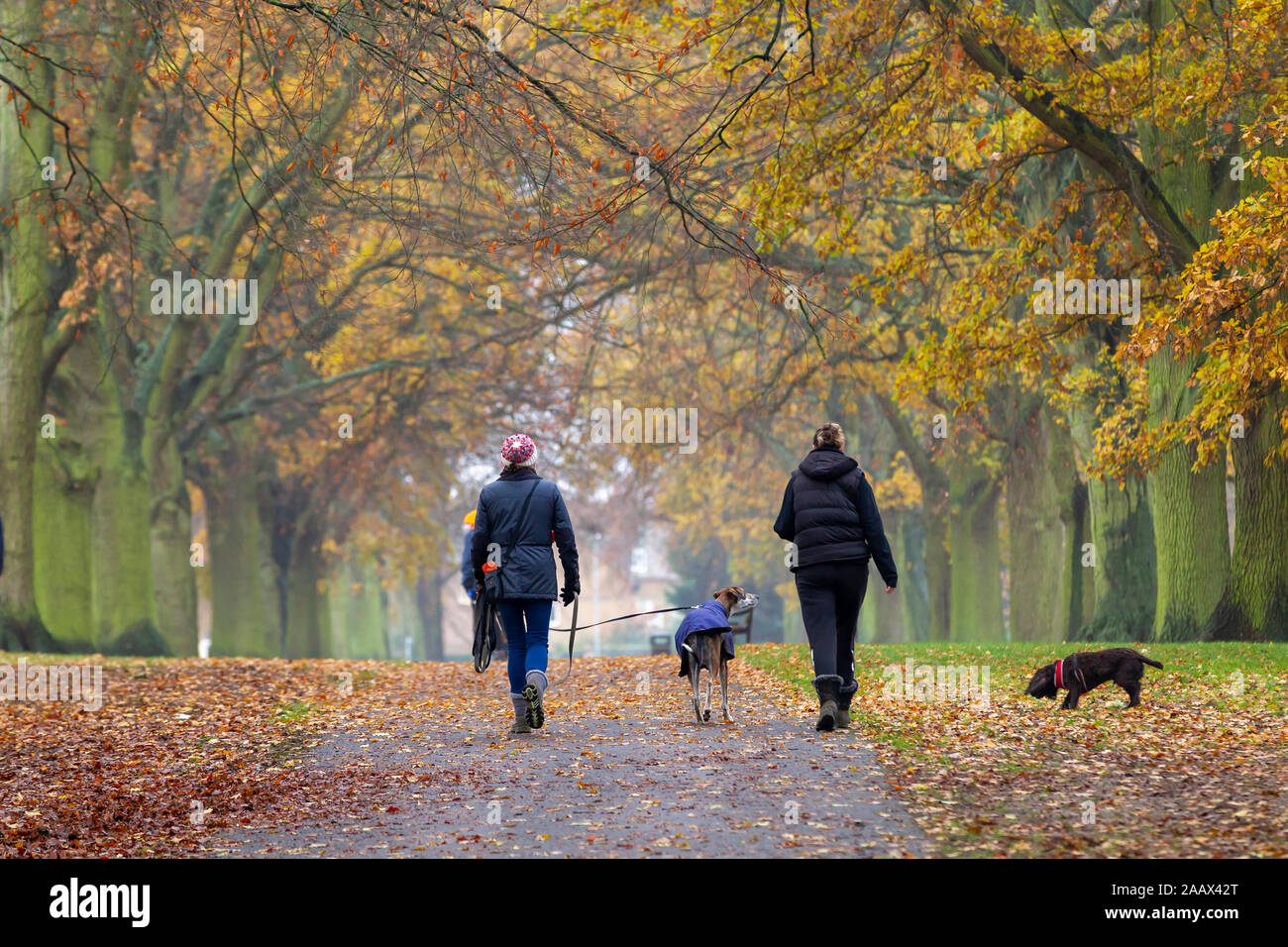 Cridit hi-res stock photography and images - Alamy