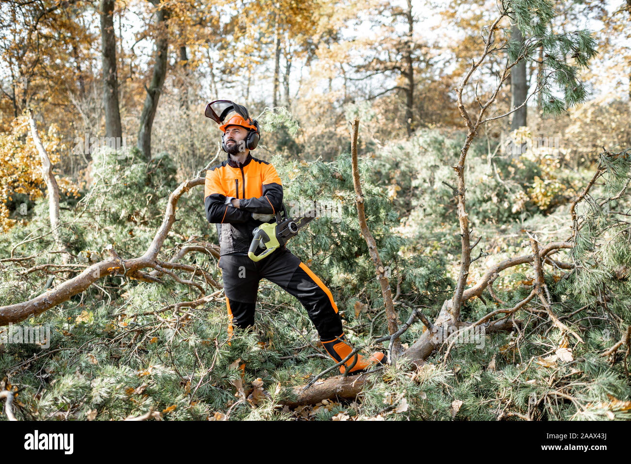 Full length portrait of a professional lumberman in protective workwear ...