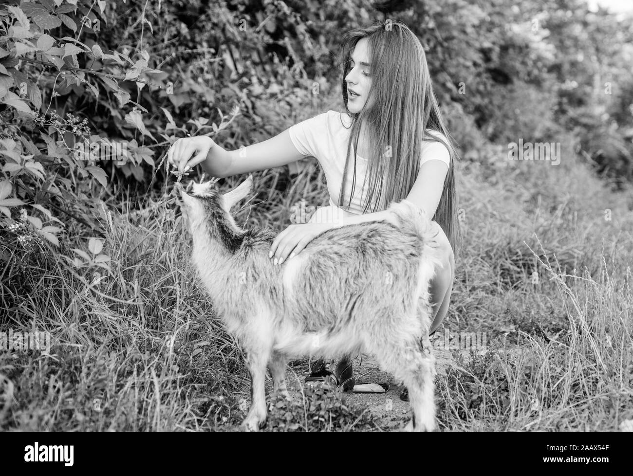 Animals are our friends. happy girl love goat. village weekend. summer ...