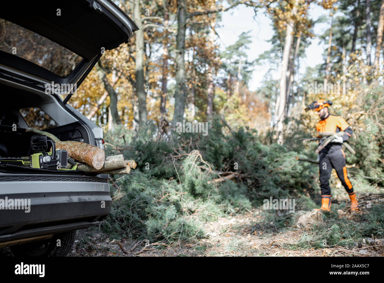 Man carrying tree trunk hi-res stock photography and images - Alamy
