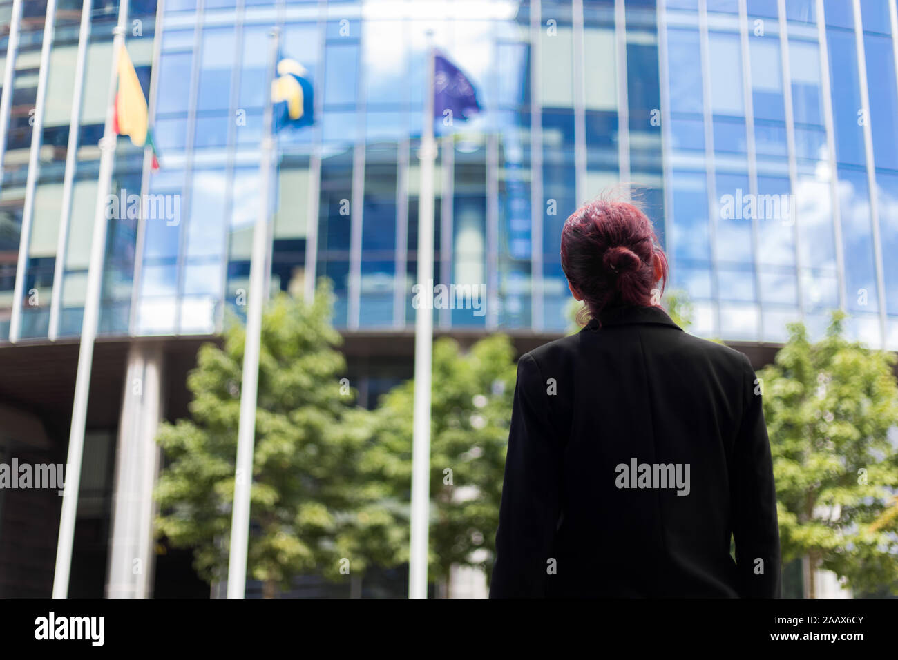 Back view of a female manager walking to her new work place Stock Photo ...