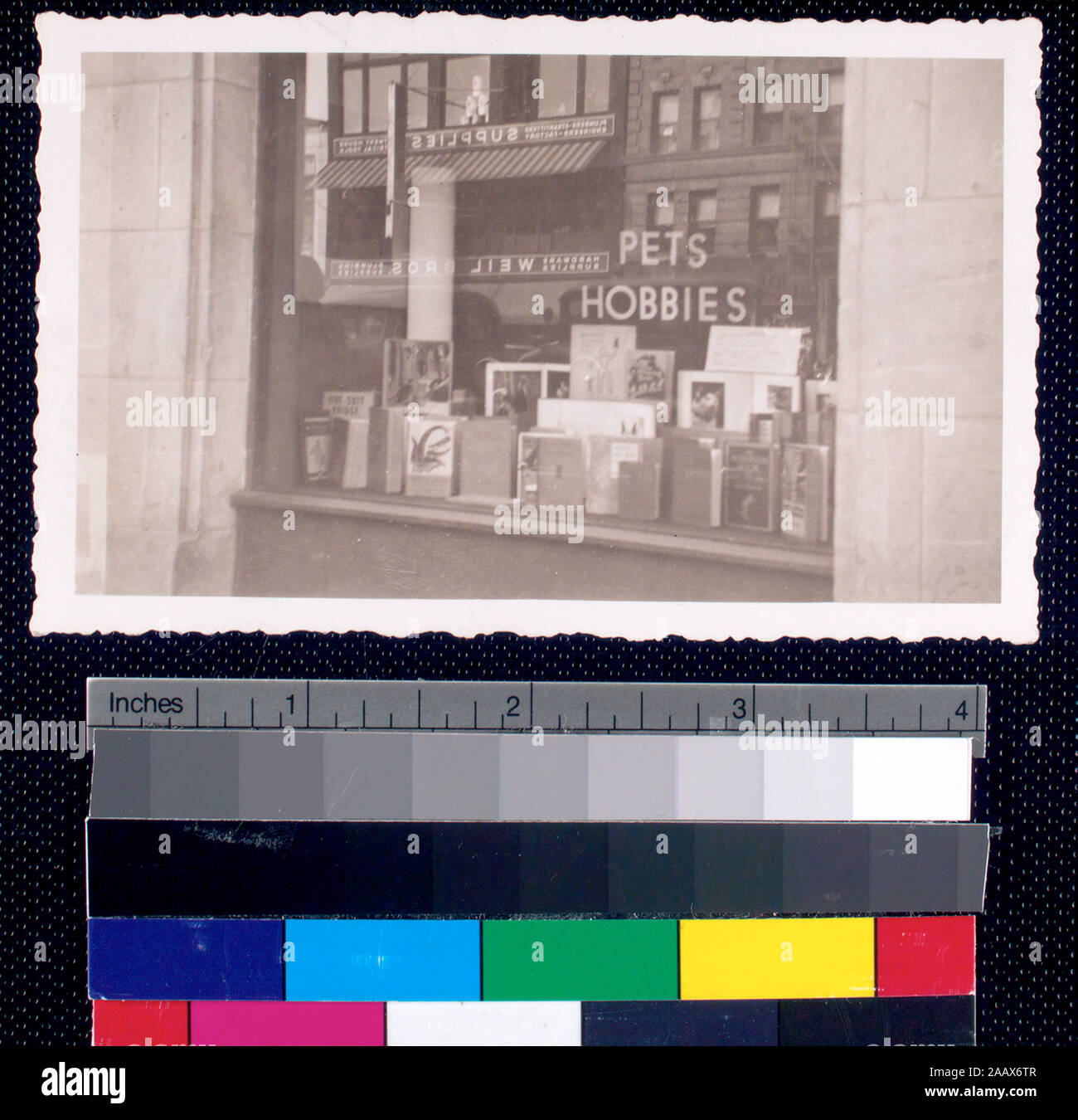 Exterior, window display on pets and hobbies Exterior, window display ...