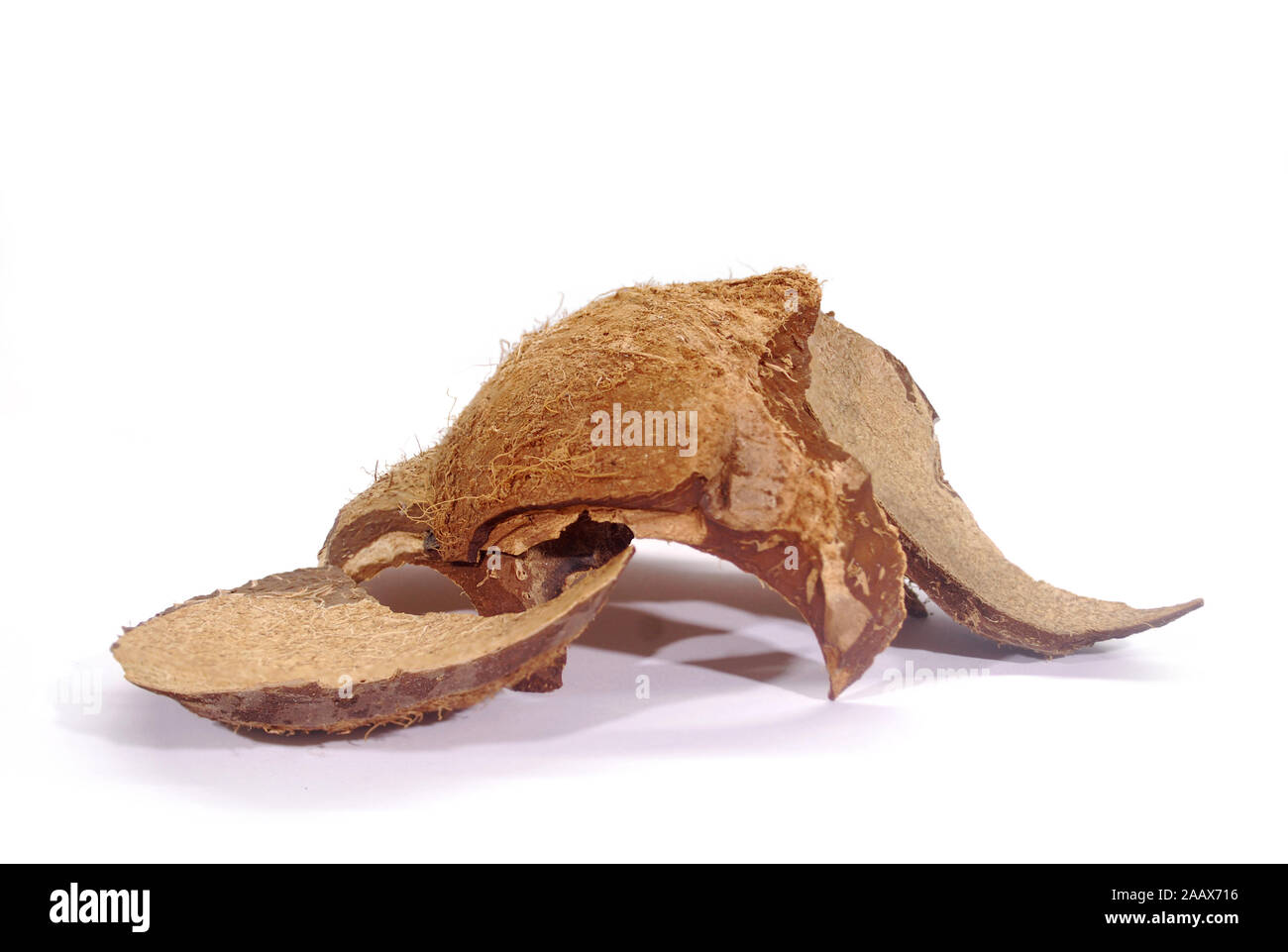 Hard coconut hi-res stock photography and images - Alamy