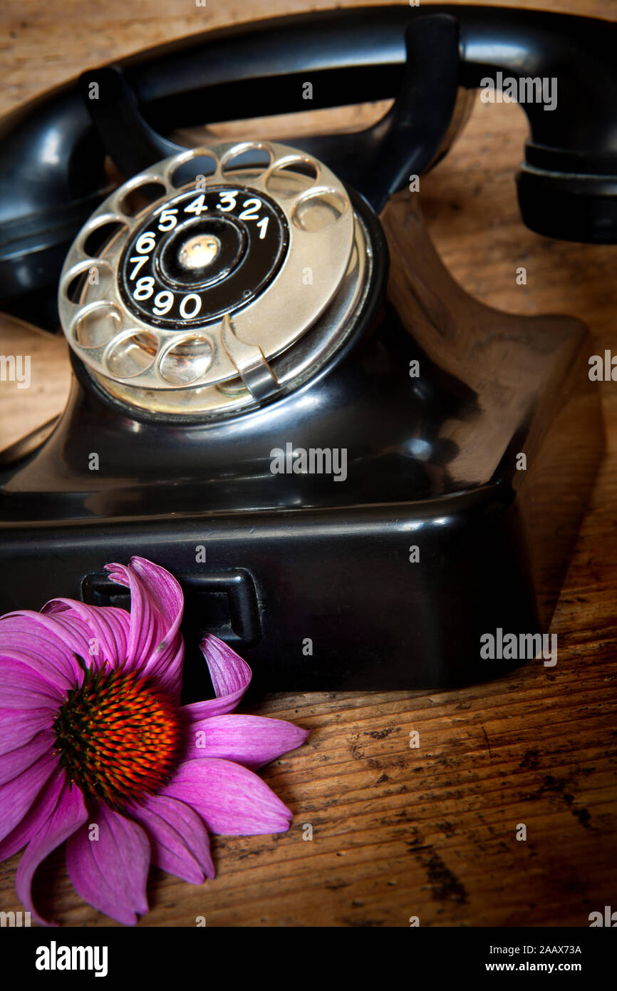 Old antique phone flower hi-res stock photography and images - Alamy