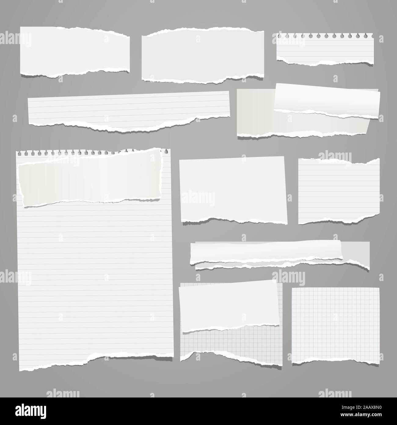 Set of torn white, lined and squared note, notebook paper pieces ...