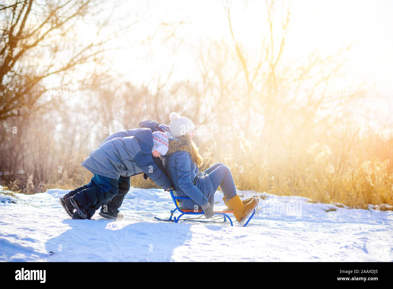 Happy children play in a snowy winter park at sunset. Sledding and ...