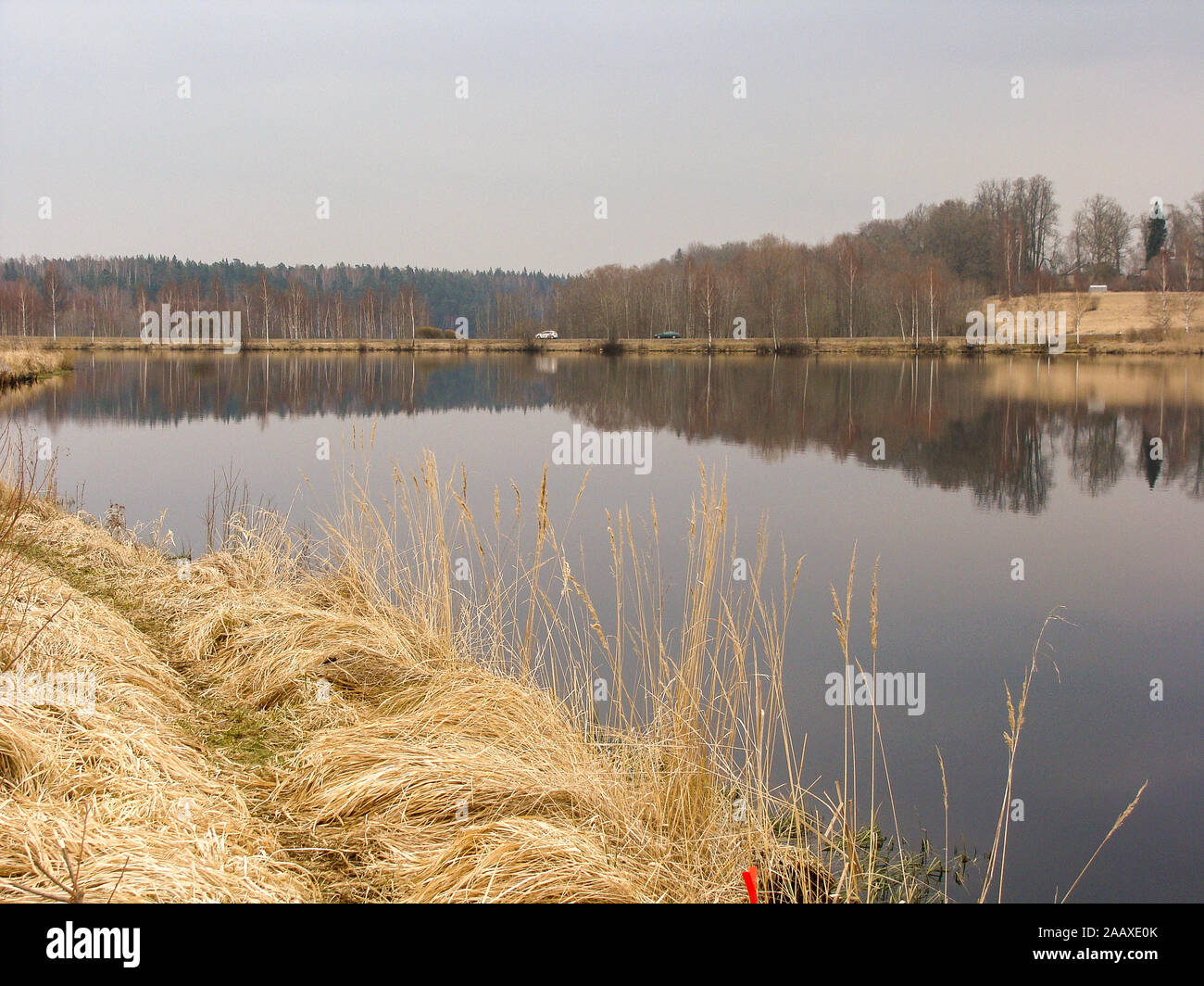 early spring landscape with lake and reed Stock Photo - Alamy