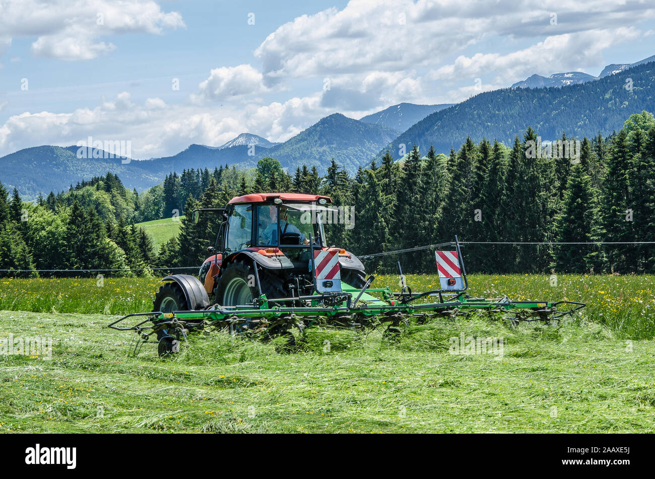 Making hay while the sun shines on the Alpine upland of Bavaria Stock ...