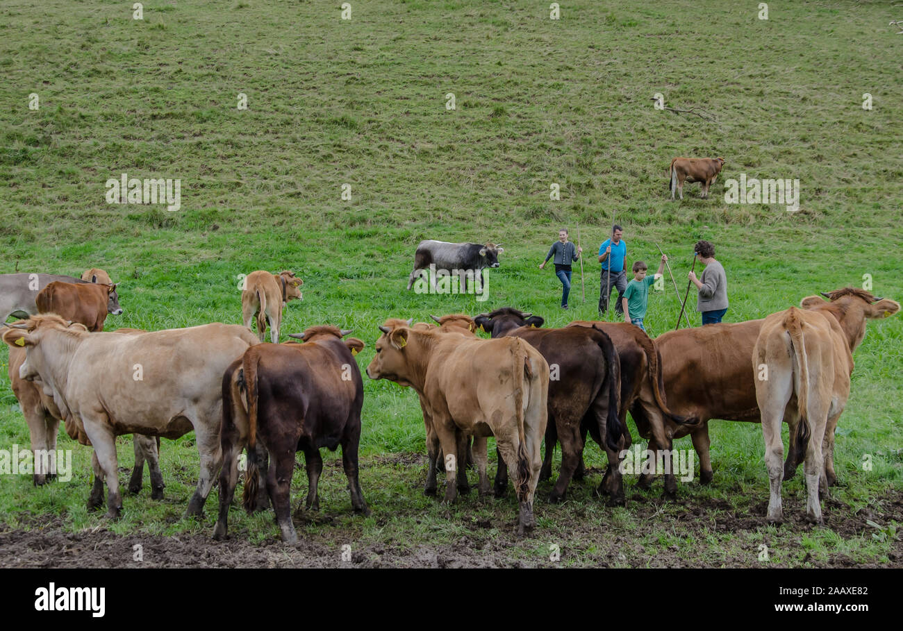 Life on a farm Stock Photo - Alamy