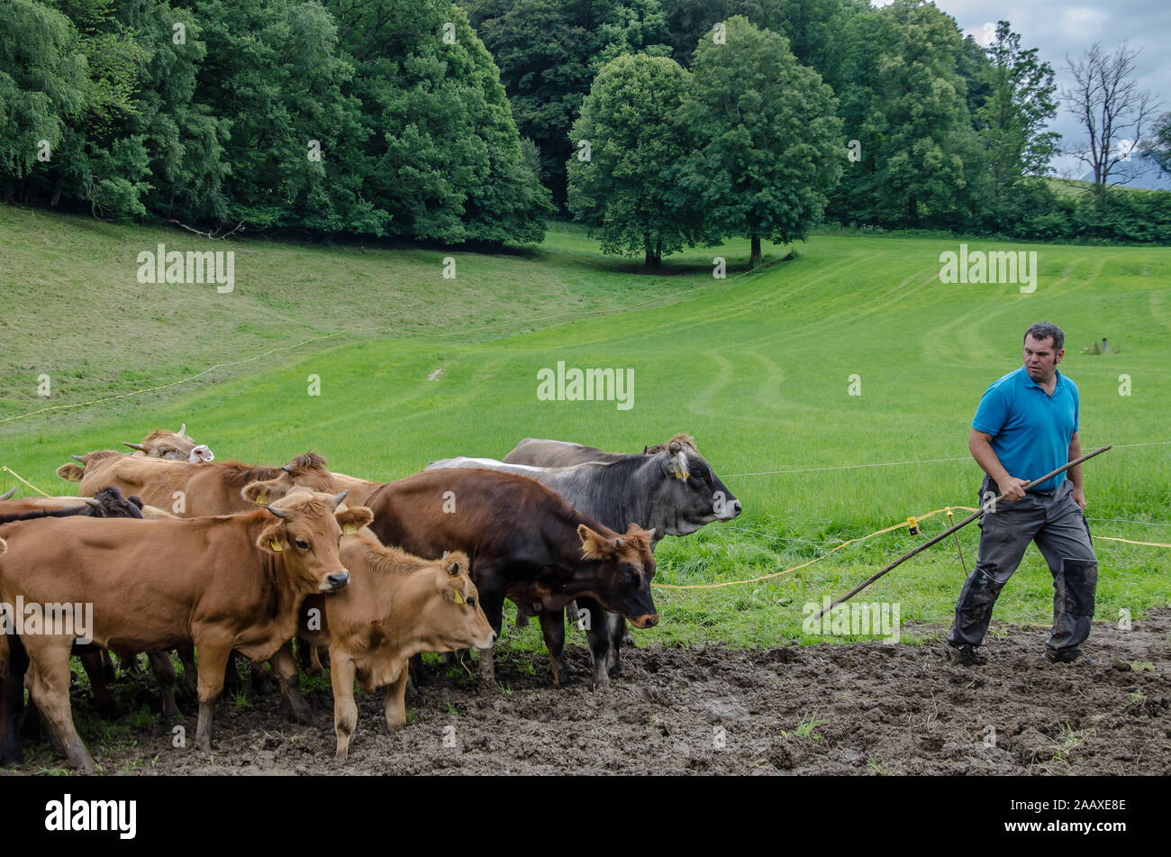 Life on a farm Stock Photo - Alamy
