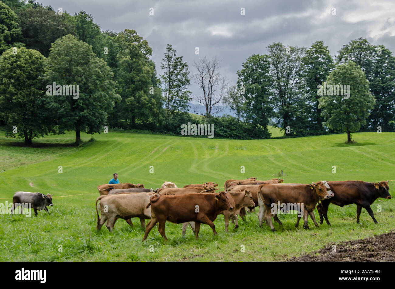 Life on a farm Stock Photo - Alamy