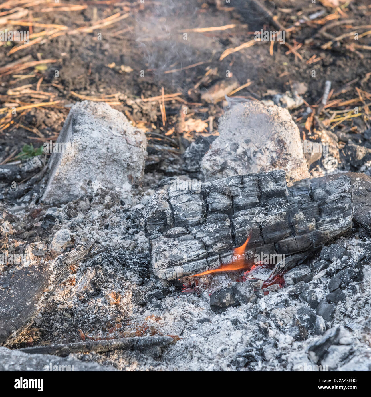 Campfire Ash