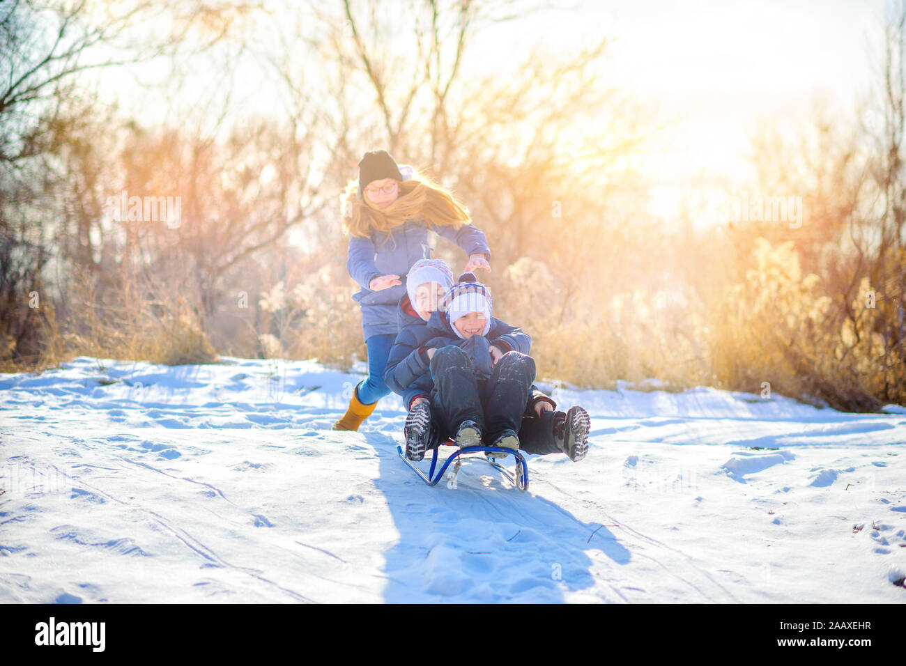 Children play in a snowy winter park at sunset. Friends sledding from a ...