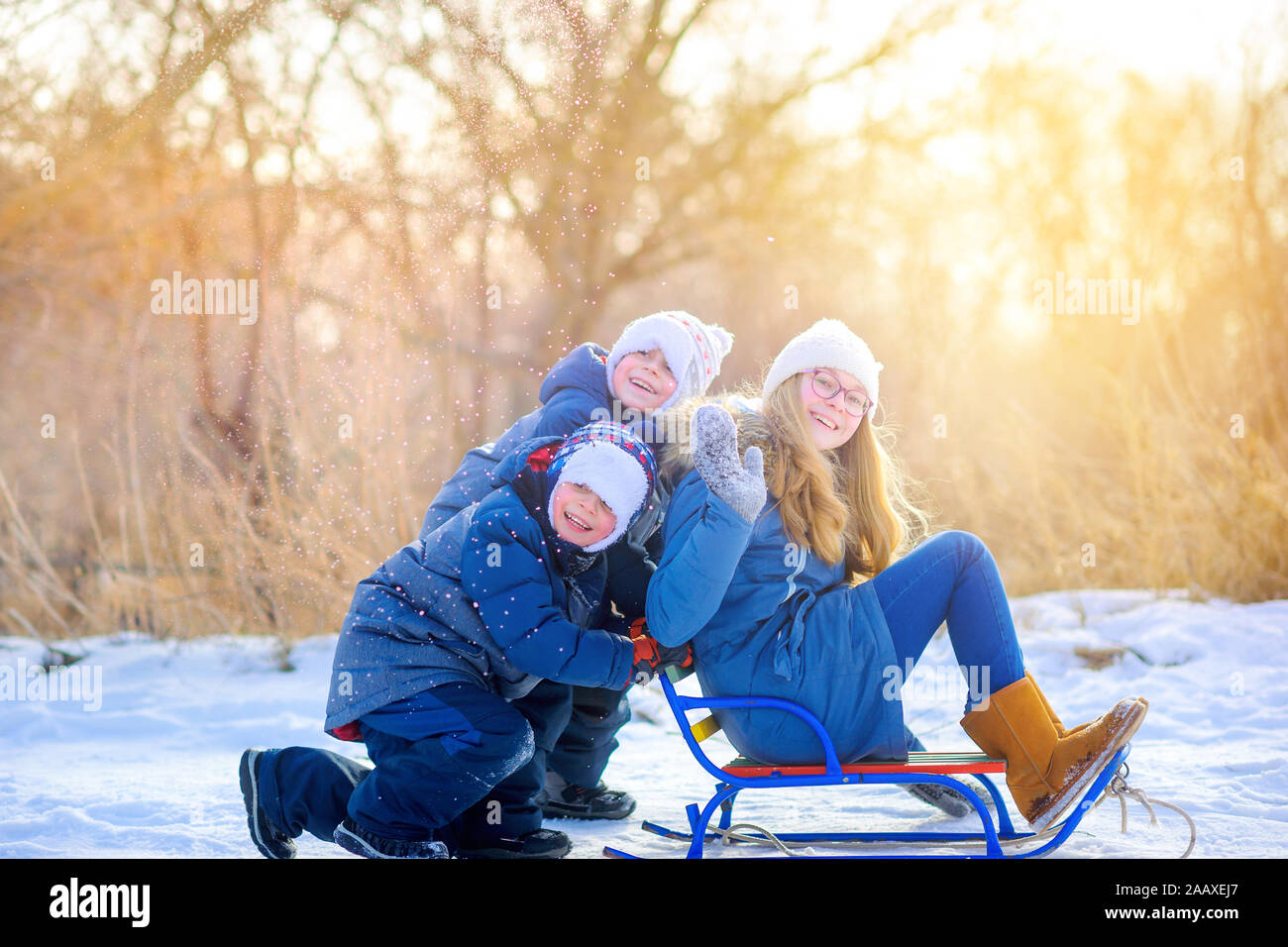 Happy children play in a snowy winter park at sunset. Sledding and ...
