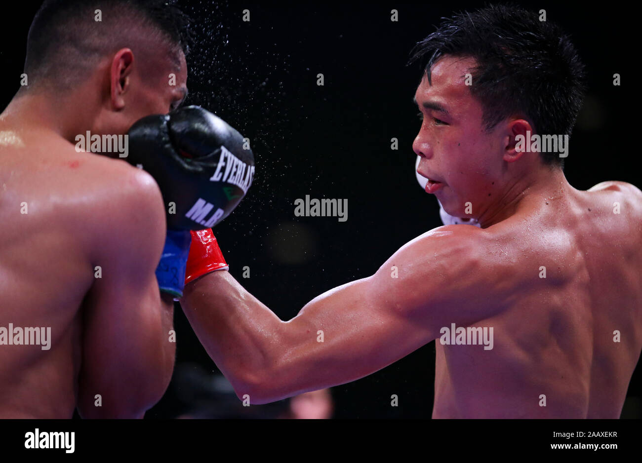 Wba champion hi-res stock photography and images - Alamy