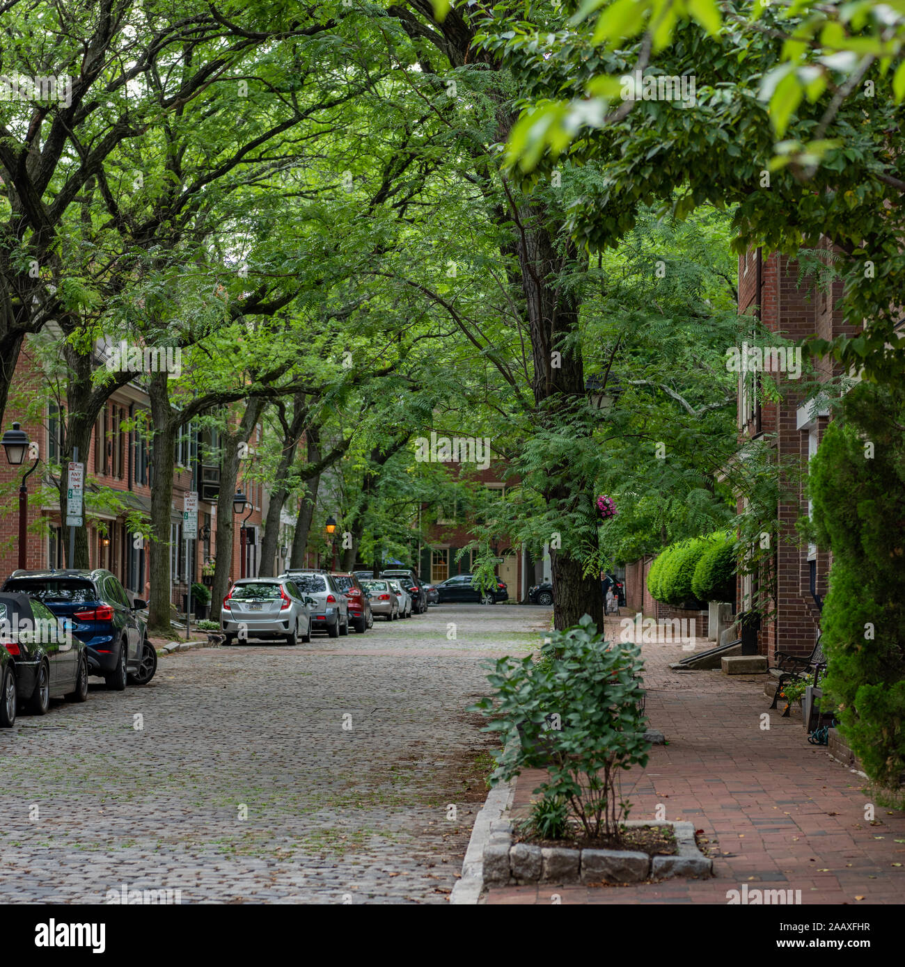A tree-lined street in Philadelphia's Society Hill Stock Photo - Alamy