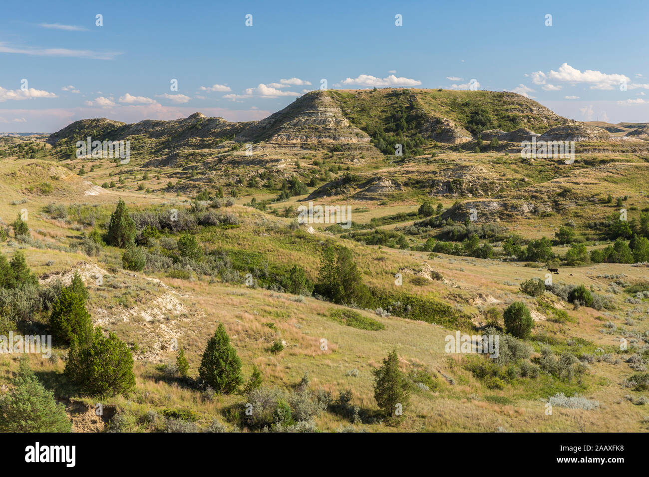Scenic Badlands Landscape of North Dakota Stock Photo - Alamy