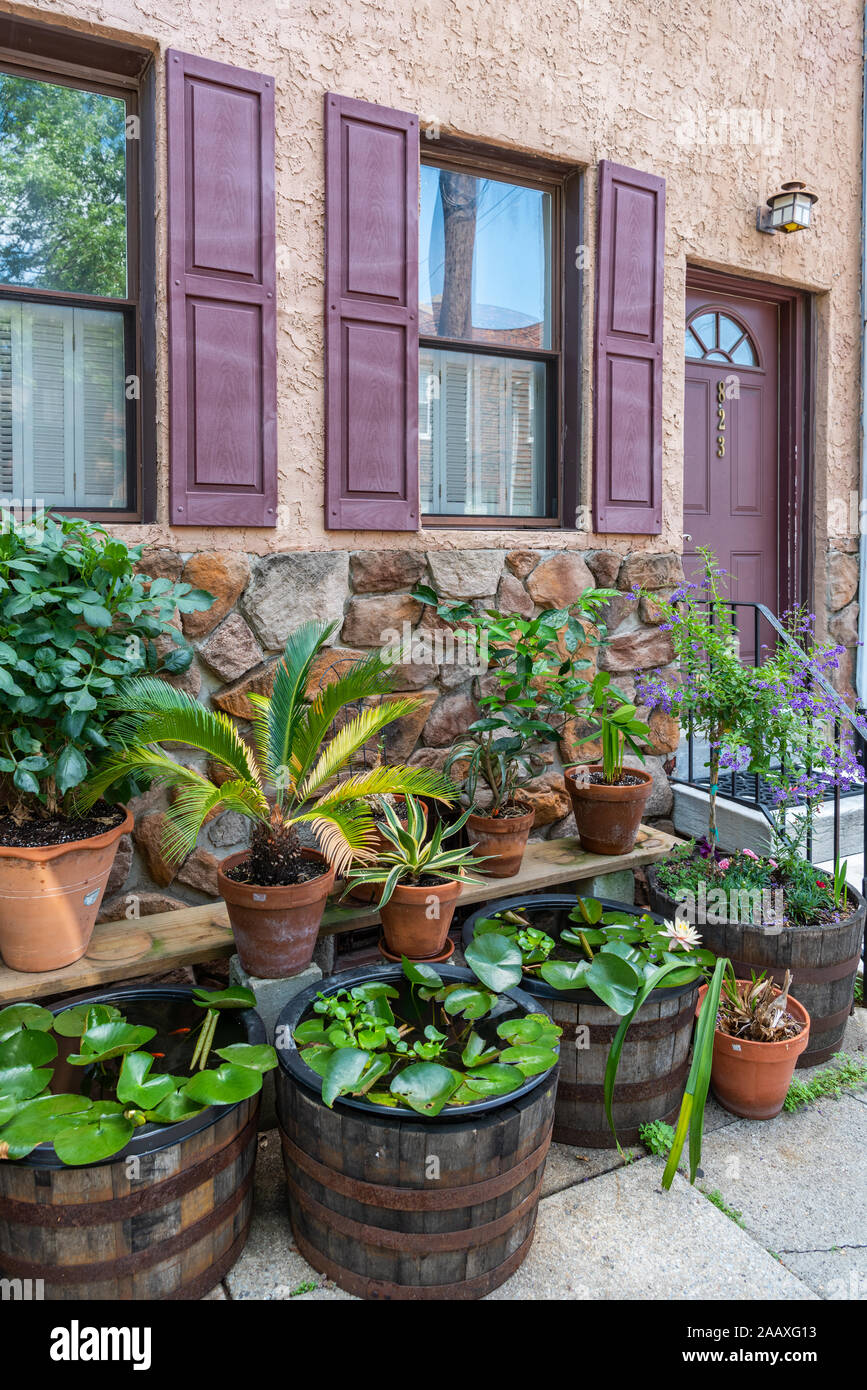 A verdant street garden, complete with gold fish, at a house in S 10th ...