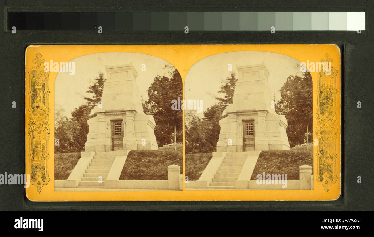 Fanny Fern Fanny Fern.; Fanny Fern Stock Photo - Alamy