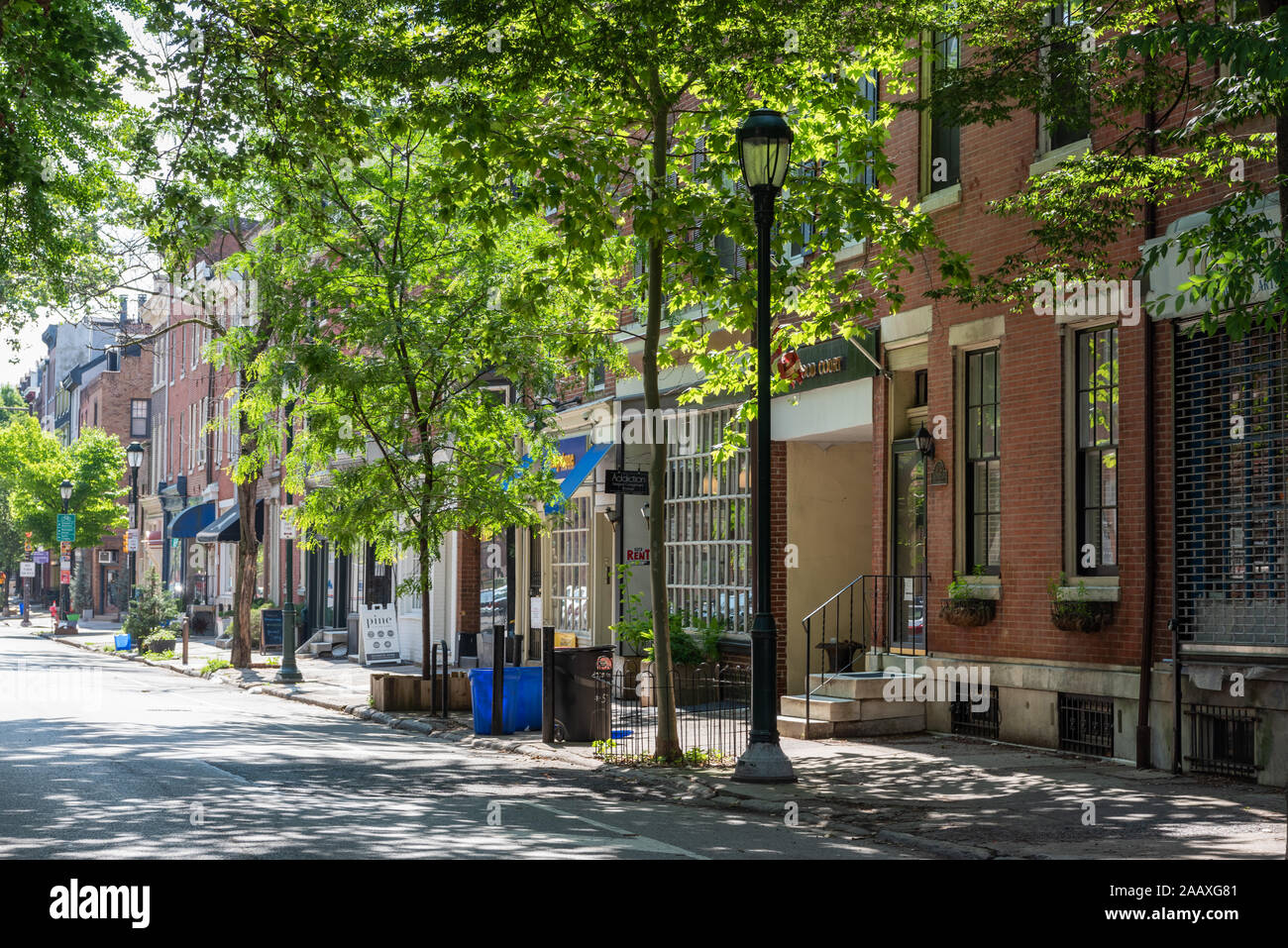 Pennsylvania pine tree hi-res stock photography and images - Alamy