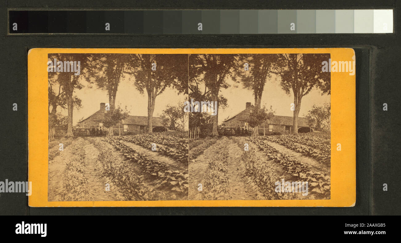 Potato field 19th century england hi-res stock photography and images ...