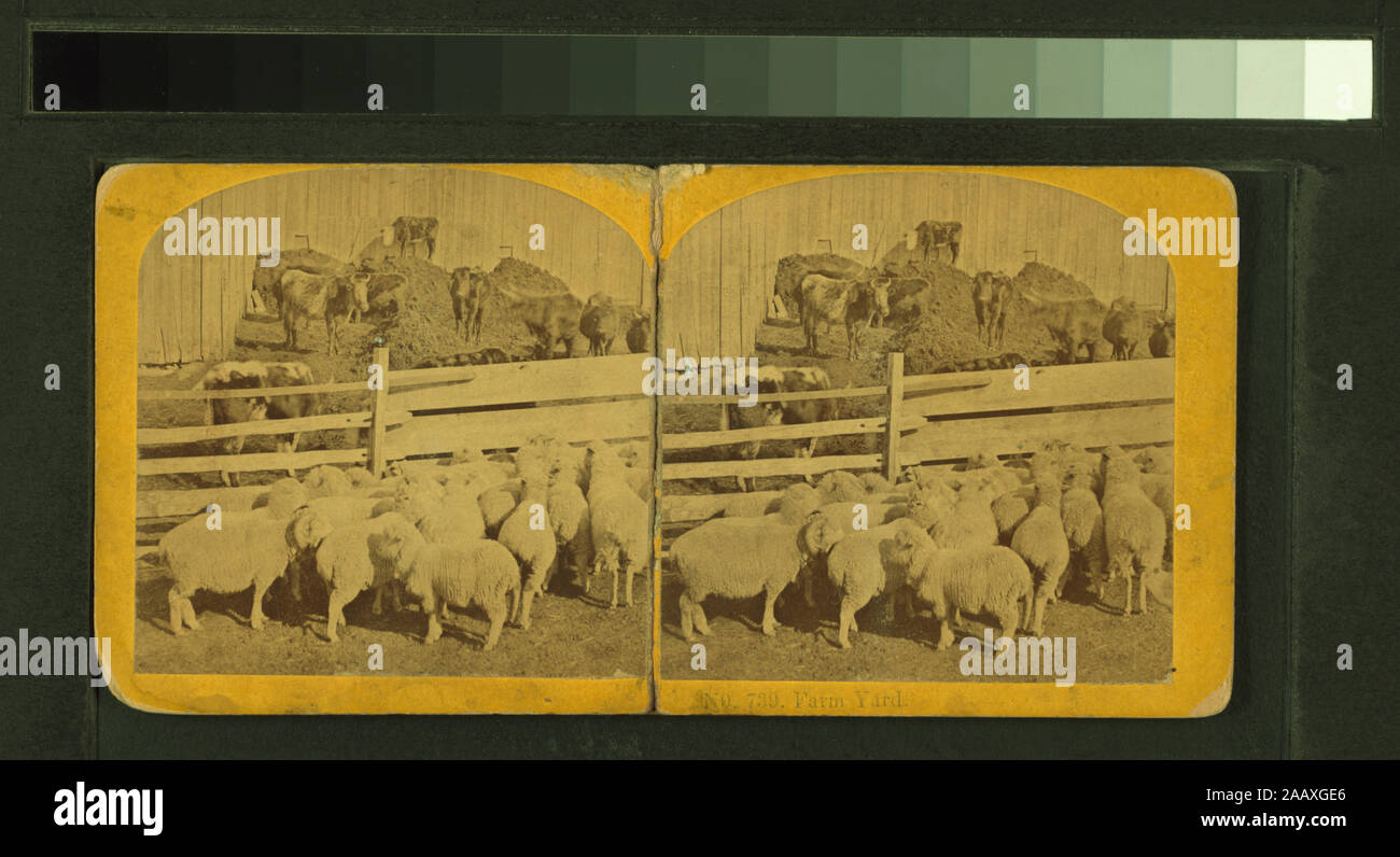 Farm yard Farm yard.; Farm yard Stock Photo - Alamy