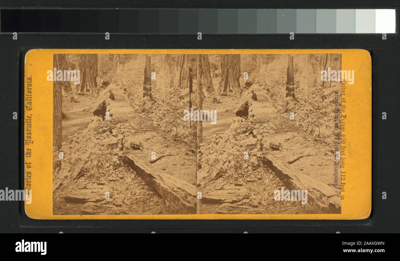 450 feet long hi-res stock photography and images - Alamy