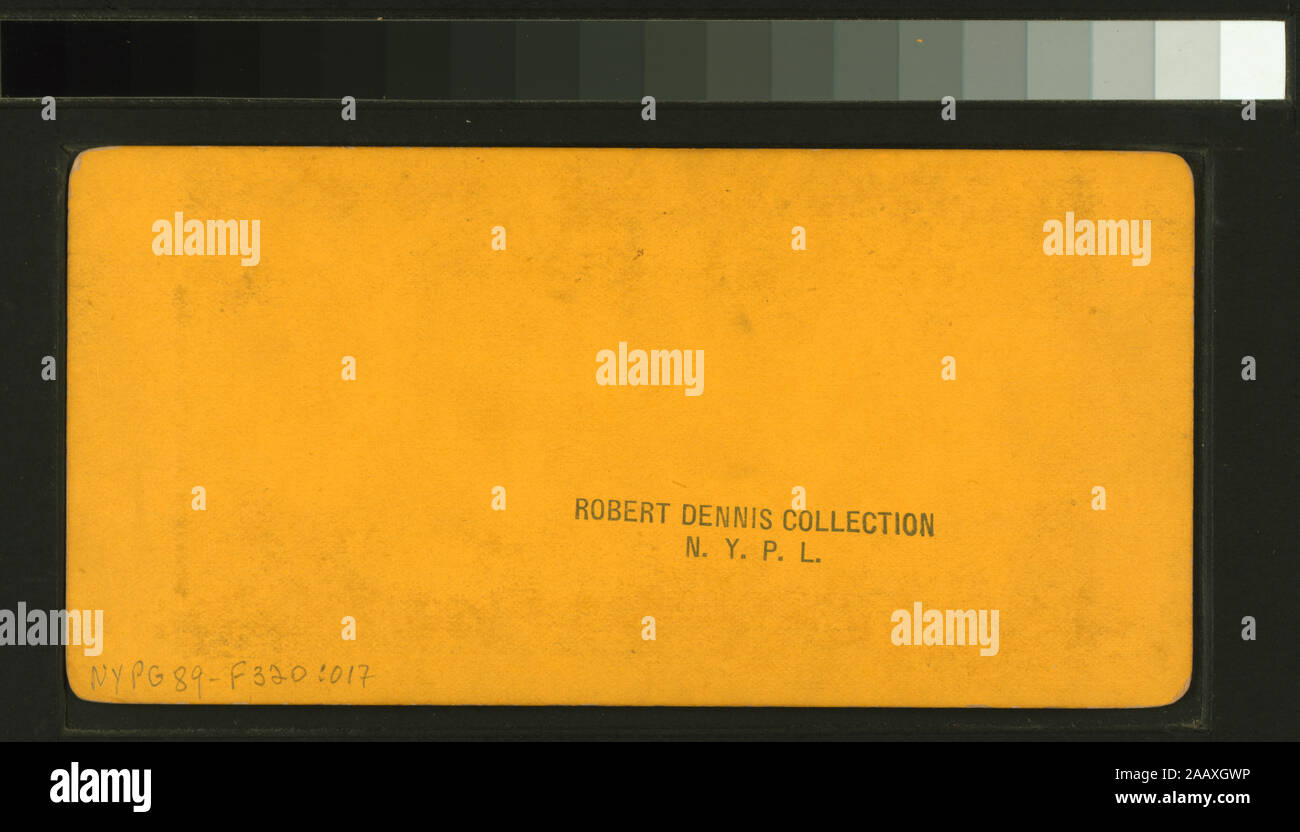 Father of the Forest, 450 feet long, 112 feet in circumference, 37 feet ...