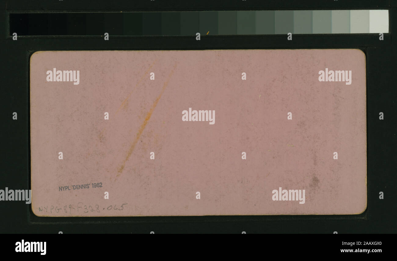 Father of the Forest, 112 feet circumference, and Jas King of Wm ...