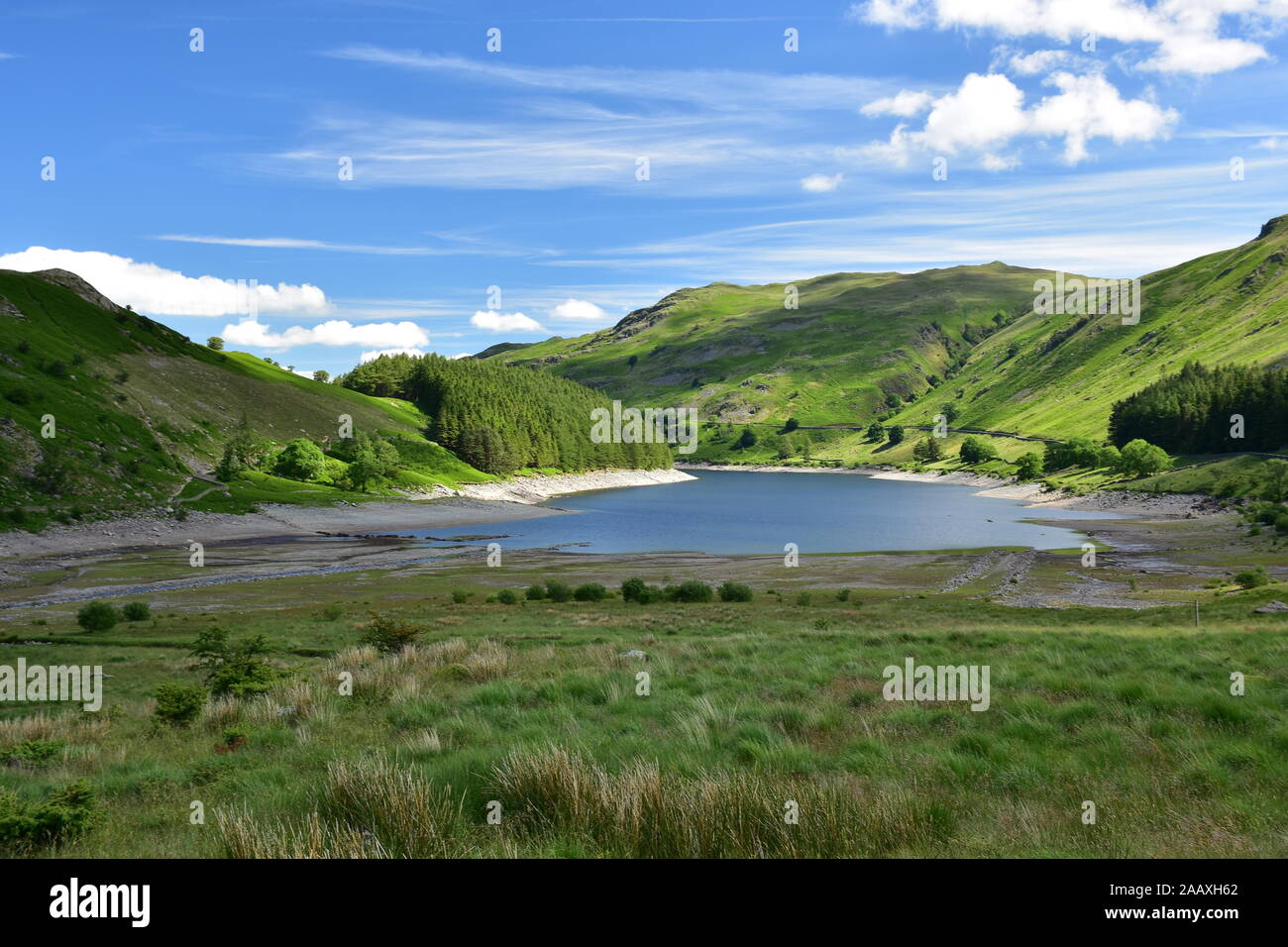 Southern end of Haweswater in Summer, Cumbria Stock Photo - Alamy