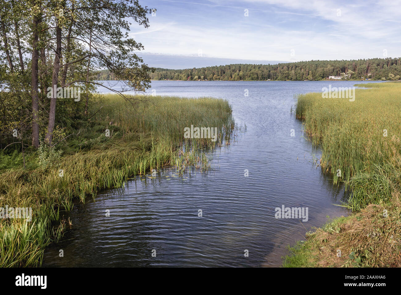 Canal between Wielkie Parteczyny Lake (on photo) and Debno Lake in ...