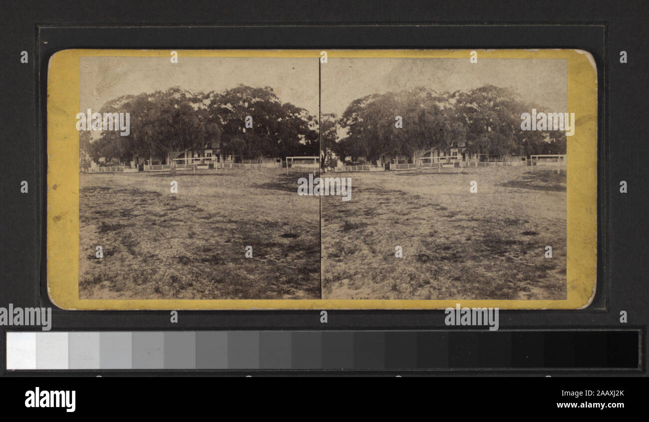 Felter Hotel Includes views by Anthony, Keystone, Strohmeyer & Wyman ...