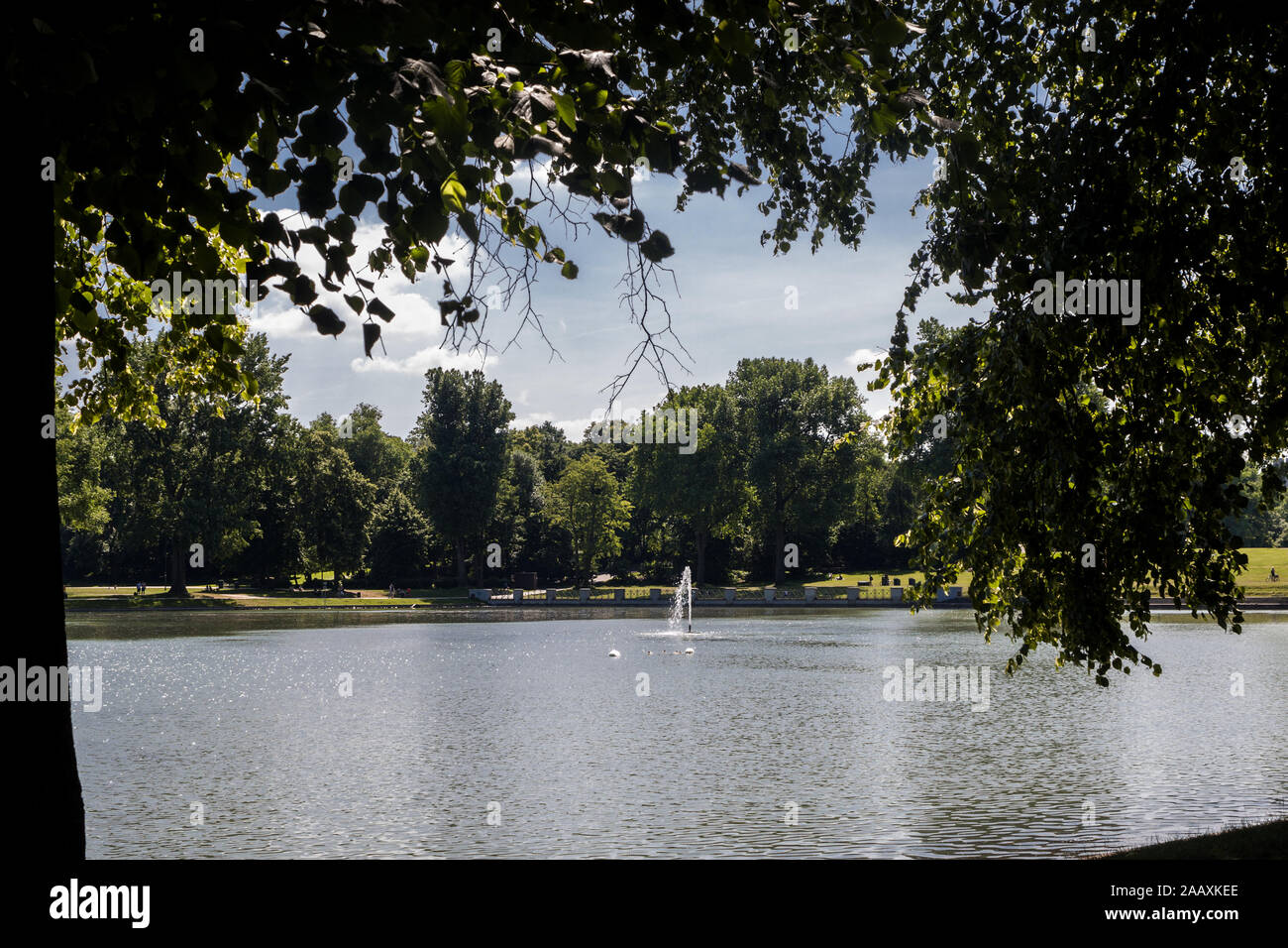 Beautiful park scene in public park with green grass field, green tree ...
