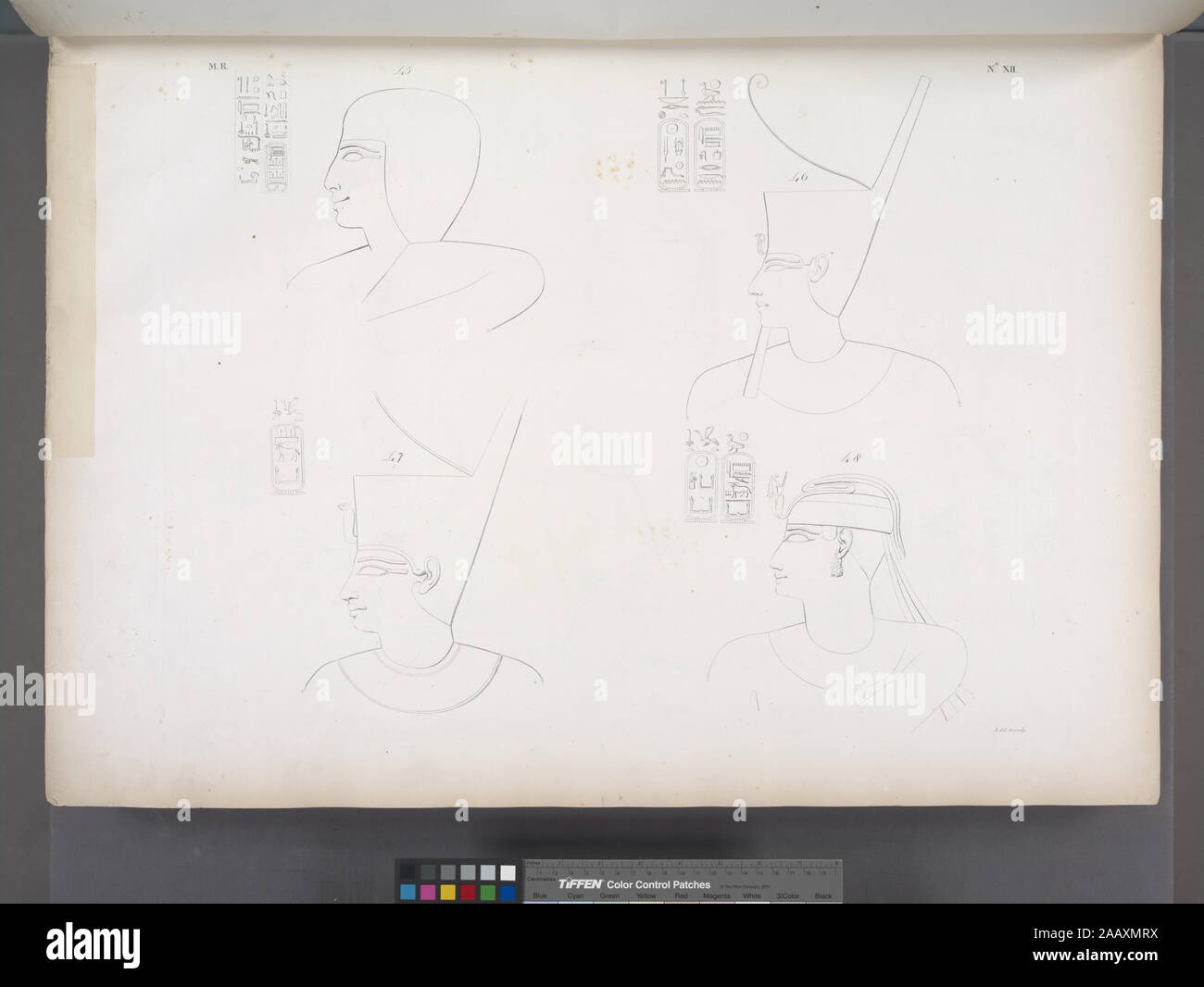 Osorkon ii hi-res stock photography and images - Alamy