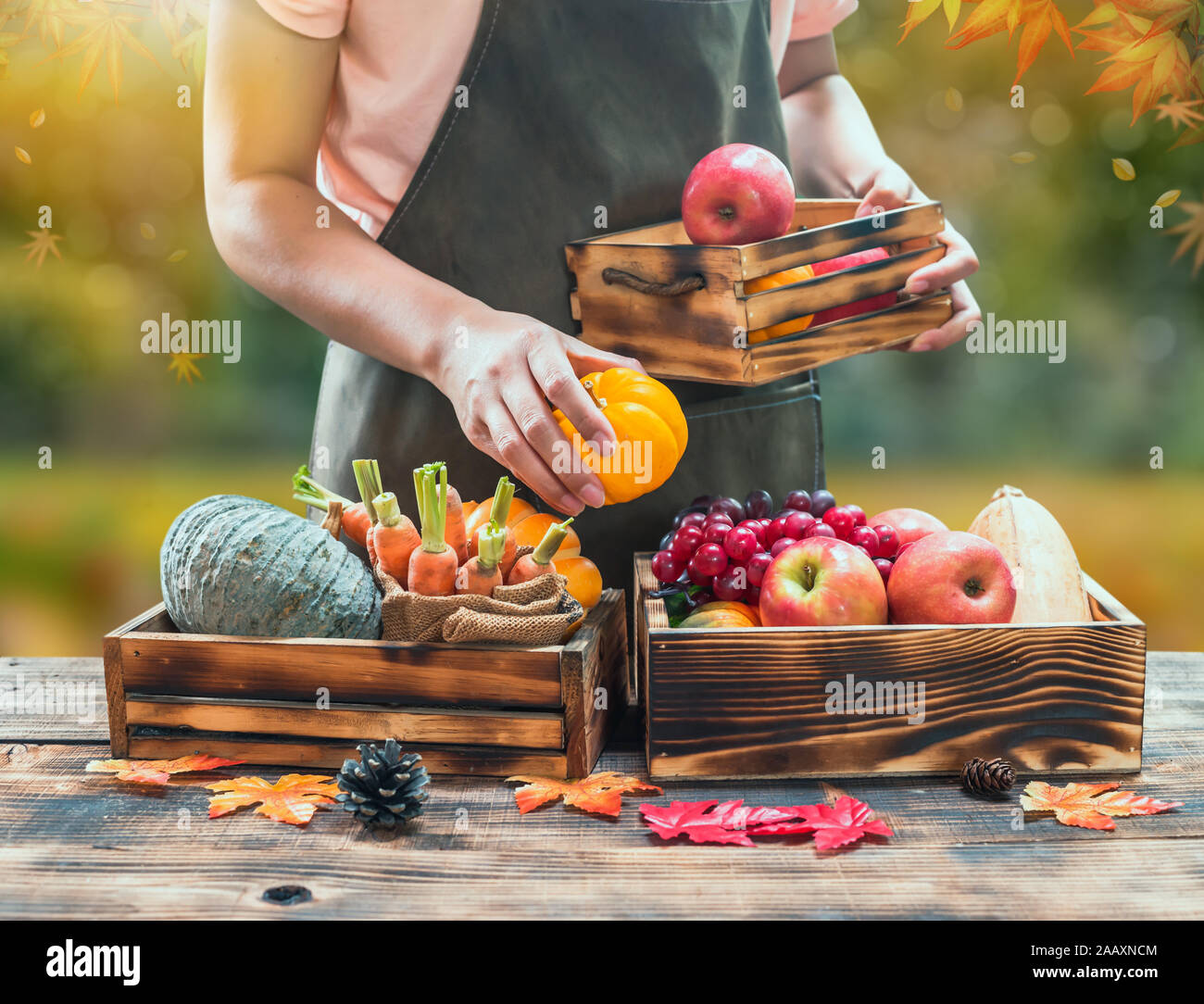 Hands the cornucopia hi-res stock photography and images - Alamy