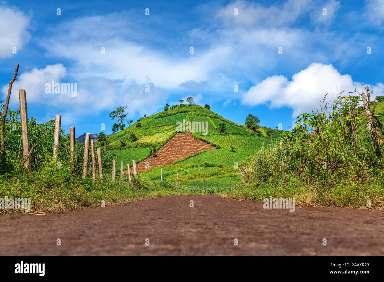 Aerial view of Chu Dang Ya volcano mountain with Da Quy flower or ...